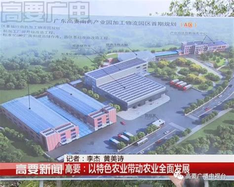 厉害未来的高要将以特色产业带动乡村振兴实现农业全面发展 种植