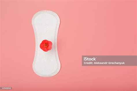 붉은 꽃과 분홍색 배경에 위생 패드 텍스트에 대한 여유 공간입니다 깨끗한에 대한 스톡 사진 및 기타 이미지 깨끗한 꽃 식물