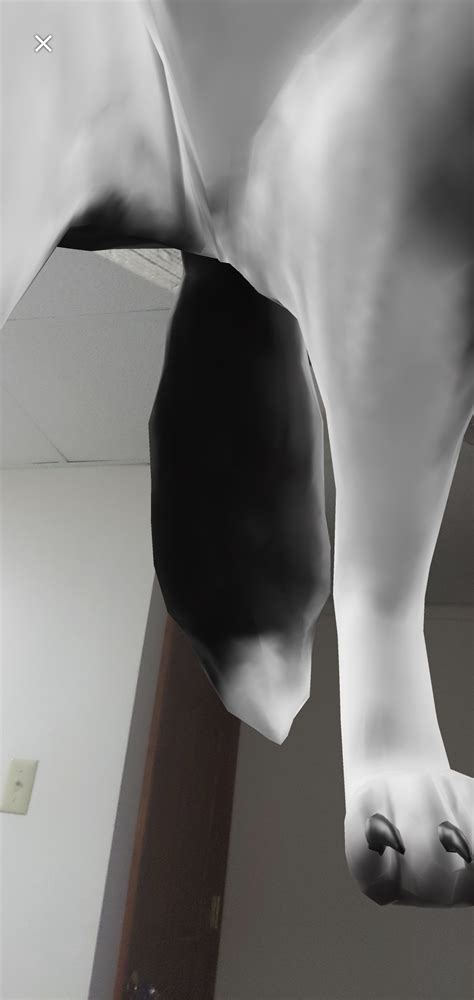 GLB Model With Animations Doesn T Load In Model Viewer But Works In