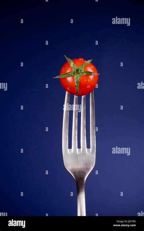 Food Aliment Tool Object Model Design Project Concept Plan