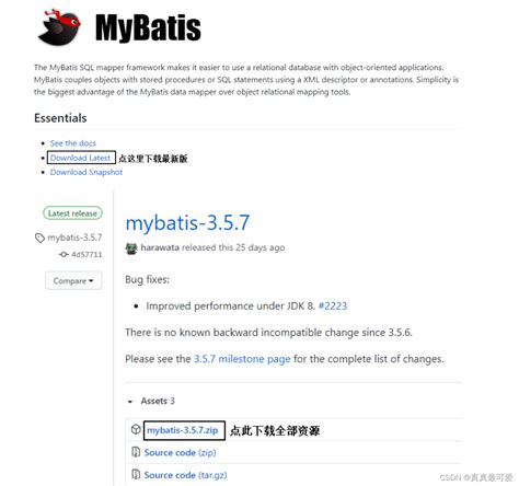 mybatis基础全集适合新手（面试大全） mybatis面试资料下载 csdn博客