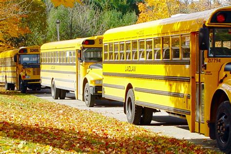 August Is National Back To School Month Gilmore And Associates Inc