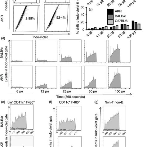 Transient Receptor Potential Vanilloid 1 Trpv1 Agonist Capsaicin Download Scientific Diagram
