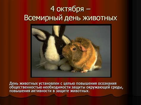4 Октября Международный День Защиты Животных Картинки —