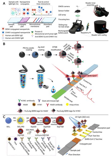 Multiplex Detection Of Infectious Diseases On Microfluidic Platforms