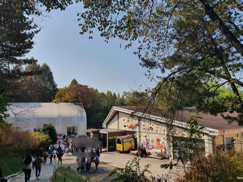 용인 서울 근교 가볼만한곳 한국민속촌입장료 할인 주차 한복대여 내돈내산 후기 용인 한국민속촌 네이버 블로그
