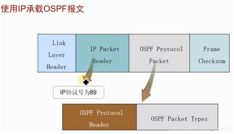 3ospf的协议报文和链路状态通告什么是链路状态通告 Csdn博客