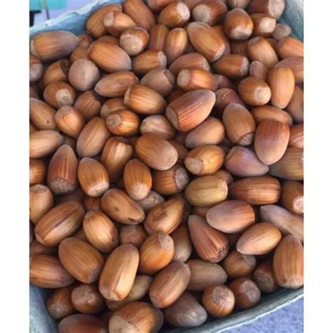 Raw Hazelnuts Hazel Nut At ₹ 1200kg In New Delhi Id 2855657783512