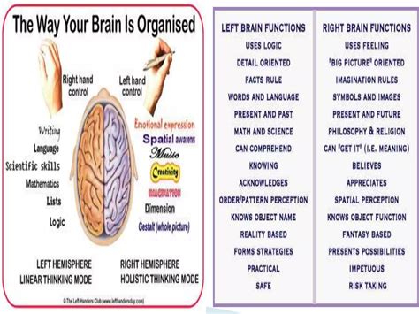 Nervous System Lecture Simplified Ppt