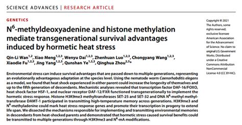 项目文章 Science Advances And Medip和chip助力解析表观遗传修饰调控热应激跨代遗传 知乎