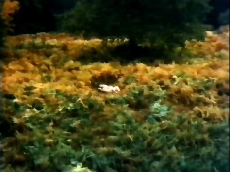 Softcore 6216 Eporner