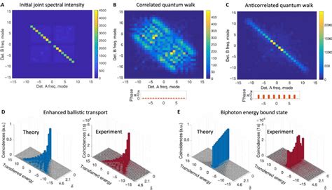 Correlated And Anticorrelated Two Photon Quantum Walks A A