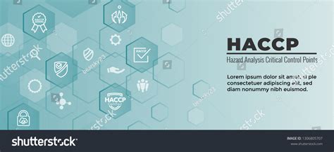 Haccp Hazard Analysis Critical Control Points Stock Vector Royalty Free Shutterstock