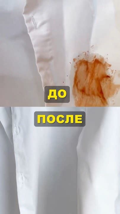 Пятна от кетчупа кофе вина Решение найдено Youtube