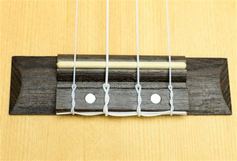 Bridge Of A Ukulele Nylon Strings Tied On The Ukulele Bridge Details