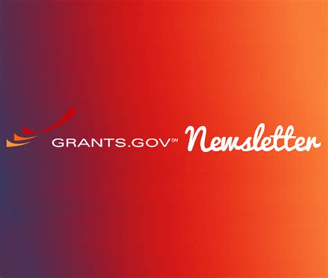 Publicó Su Nuevo Newsletter Con Una Guía Rápida De Cómo