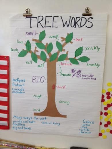 Descriptive Words About Trees In Tree Study Classroom Tree Prebabe Learning Activities