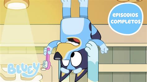 🔴 En Vivo Temporada 2 Episodios Completos Bluey Youtube