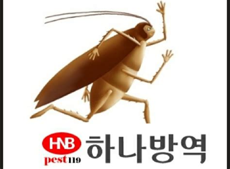 하나방역제주 고수의 해충방역 서비스 제주 제주시 숨고 숨은고수