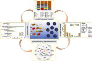 Journal Of Environmental Chemical