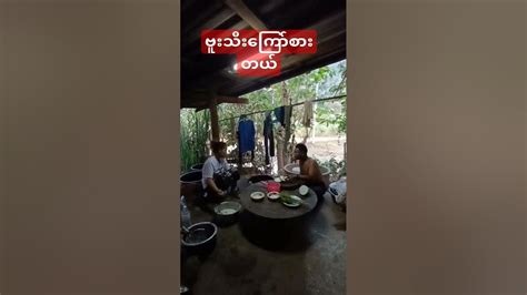 မောင်ကျော်အုန်းအိမ်မှာ ဗူးသီးကြော်စား Boxing Fan Youtube