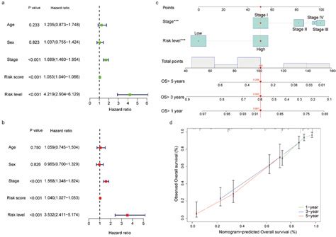 Functional Enrichment Analysis For The High Risk And Low Risk