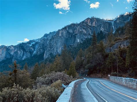 나무로 둘러싸인 아스팔트 도로 사진 Unsplash의 무료 길 이미지