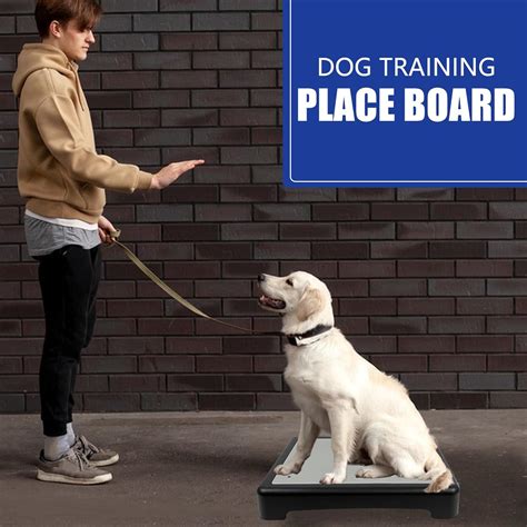 Yexexinm Tabla De Entrenamiento Para Perros Con Superficie