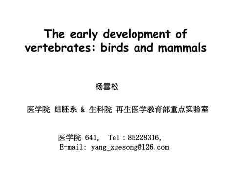 Primitive Streak Regression