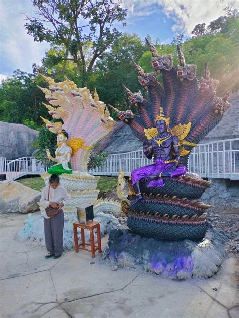พญาดำแสนศิริจันทรานาคราช พญานาคิณีมนตรามณีนฤมาสเทวี วัดป่าพุทธชินวงศาราม