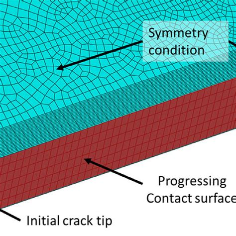 Model Discretization Detail Of The Mesh Refinement Along The Crack
