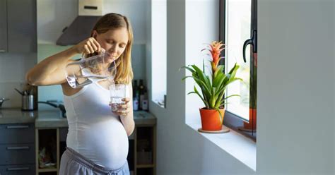 ¿cómo Se Pueden Prevenir Enfermedades Infecciosas Durante El Embarazo