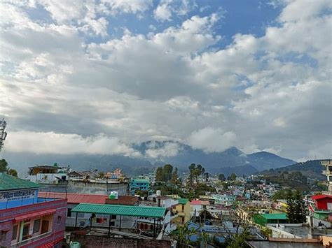 Most Of The Forests In The Himalayan States Have Been Lost To