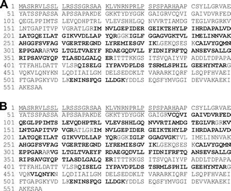 Atp Synthase Subunit Sequence And Sequence Coverage A Sequence