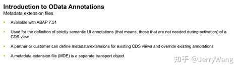 什么是 Sap Odata Annotations 的 Metadata Extension Files 知乎