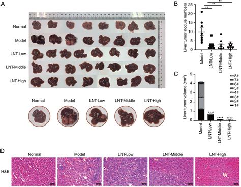 Figure 3 From Lentinan Induces Apoptosis Of Mouse Hepatocellular