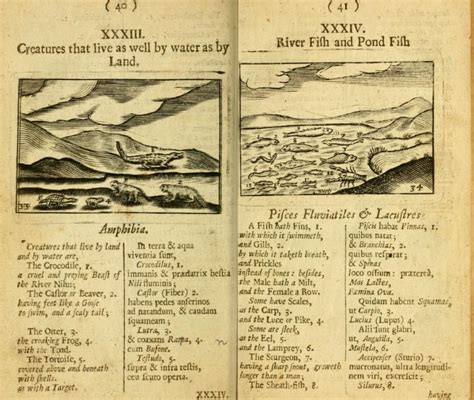 Ян Коменский Orbis Pictus Проверьте себя не монстр ли вы