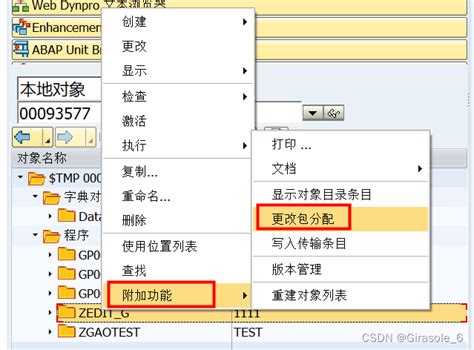 Sap Tr请求相关总结 Csdn博客