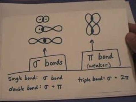 Sigma And Pi Bonds Janet Gray Coonce