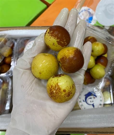 🍏พุทราช๊อคโกแลตแพ็ค 👉sizeกลางเข้าใหม่ 😋รสชาติ หวาน กรอบ อร่อย 🎁ยกกล่อง