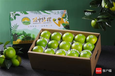 今年的琼中绿橙我来卖琼中绿橙星推官邀你来报名 东南网 福建官方新闻门户