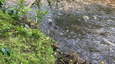 Il était Un Héros Un Père De Famille Meurt En Sauvant Deux Enfants