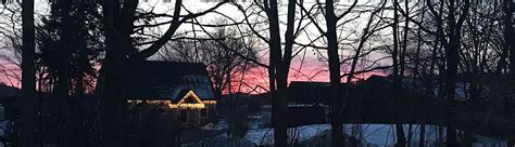 random neurons firing thoughts about software networking and life