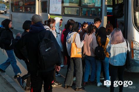 Оюутнууд нийтийн тээврээр сард 44 удаа үнэгүй зорчино