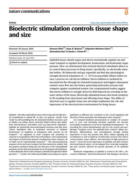 Bioelectric Stimulation Controls Tissue Shape And Size Pdf
