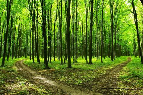 Pausingresuming Browser And App Logic Using Taskqjs By Ibrahim Tanyalcin Medium