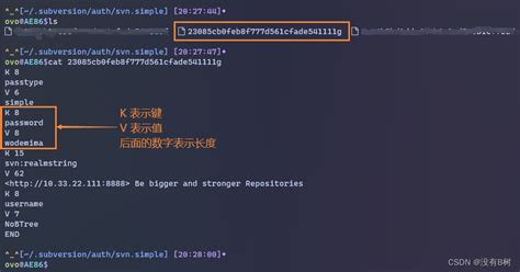 Wsl下svn无法保存密码wsl Svn 弹窗 Csdn博客