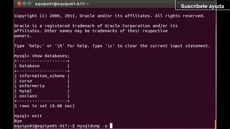 Curso Básico Mysql Copia De Seguridad Con Mysqldump Lección 12 Youtube