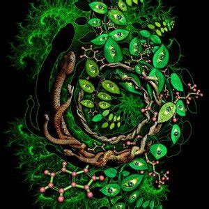 Luminokaya Art Collider