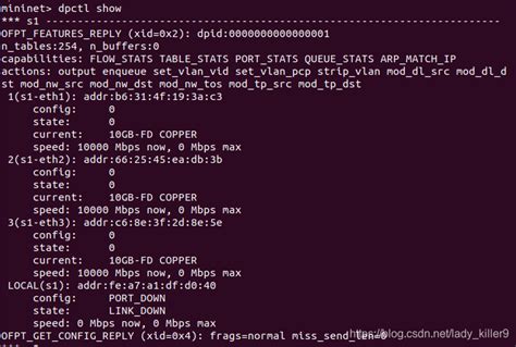 sdn mininet命令详解（py dpctl ovs vsctl ovs ofctl） p4中mininet构建的交换机输入ovs